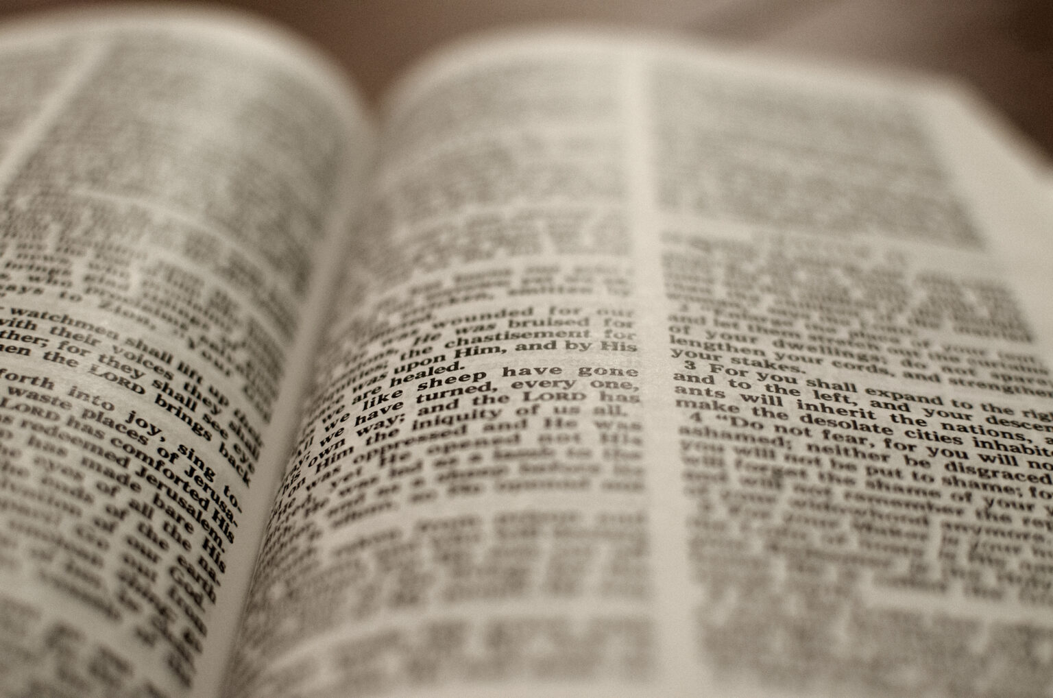 Plautdietsch Bibel – Low German Bible
